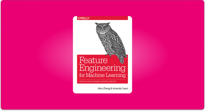Feature Engineering for Machine Learning: the best book review